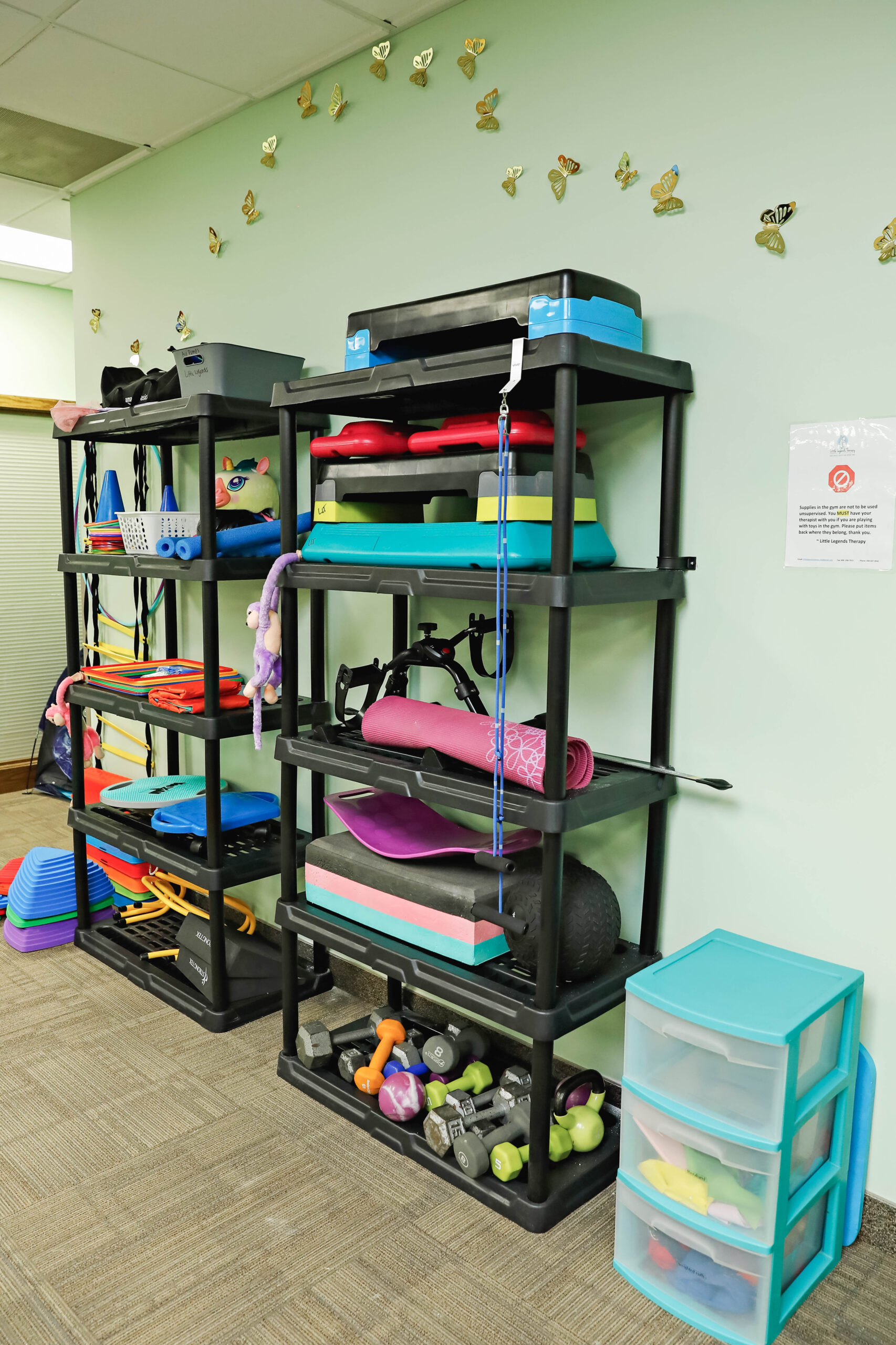 About - Little Legends Therapy