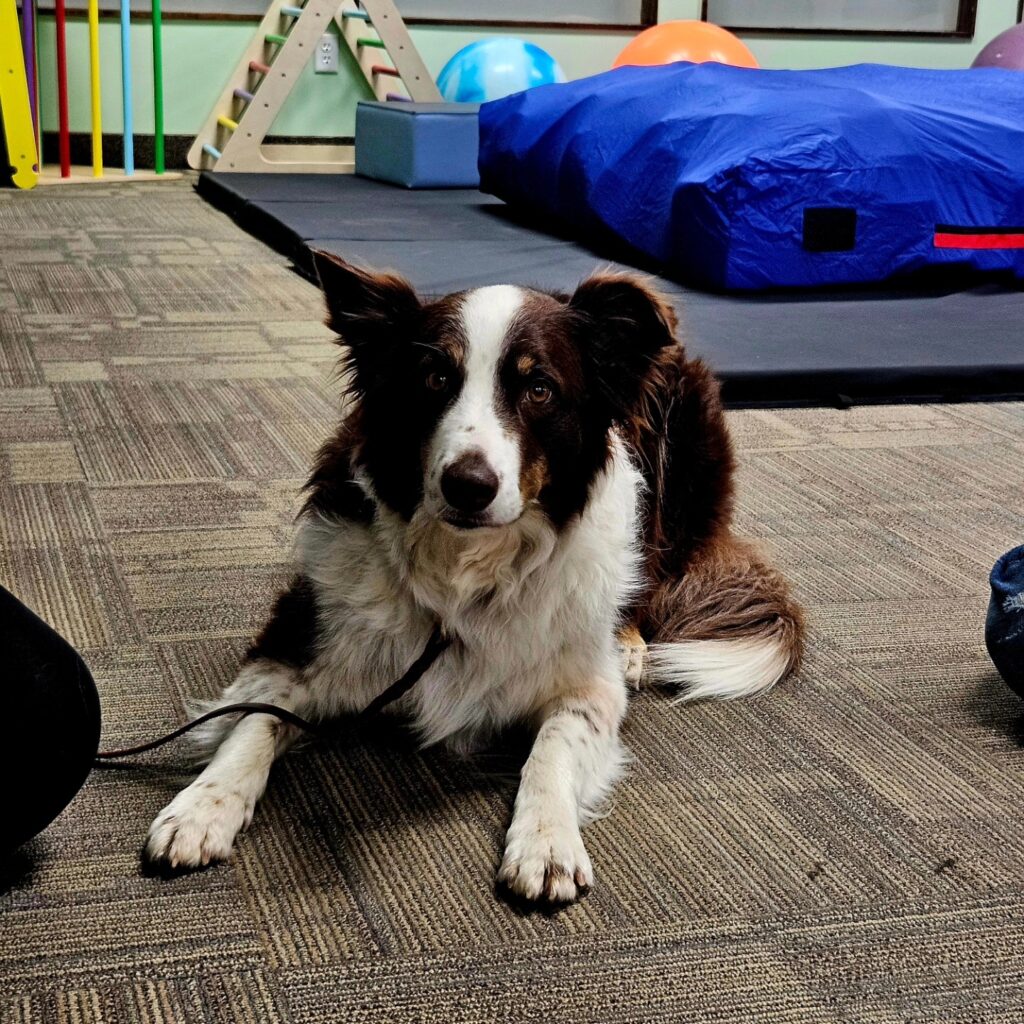 Blog - Little Legends Therapy